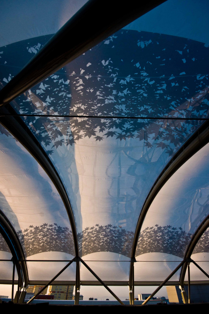 MOMENTUM – structural engineers – Tensile structures